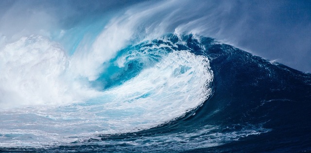 Avertisment: temperatura medie a Oceanului Pacific crește de trei ori ...
