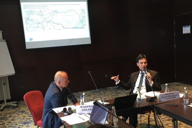 Transgaz-ul Ungariei și-a prezentat la București planurile cu gazele ...