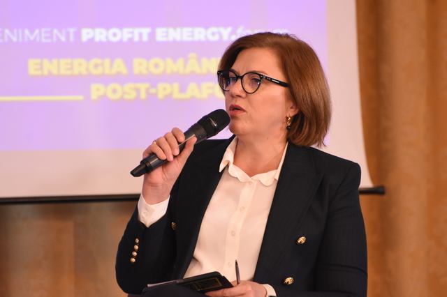 VIDEO Profit Energy.forum - Daniela Raluca Dărăban, Director Executiv ...