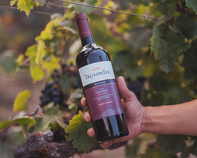 Vinul zilei: un Malbec cu arome de prune, coacăze negre, cireșe negre ...