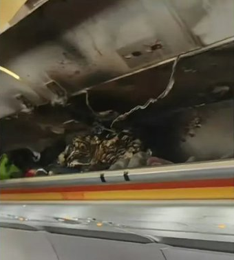 VIDEO Cabina unui avion al companiei Hong Kong Airlines a luat foc în ...