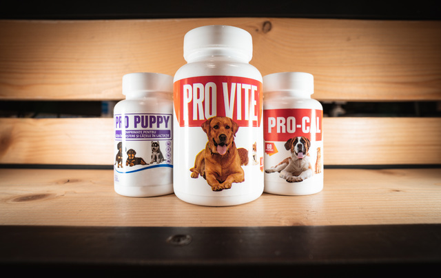 Farmavet - Pierderile au generat scăderea puternică a activelor ...