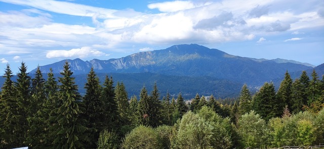 HoReCa - Management Pro