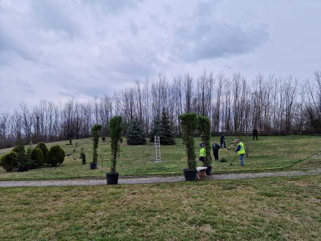 Primăria Ciugud anunță că începe „plantarea celui mai spectaculos parc ...
