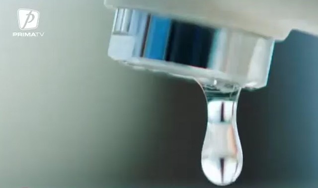 Prezenţa bacilului Piocianic în apa de la Spitalul de Pediatrie ...