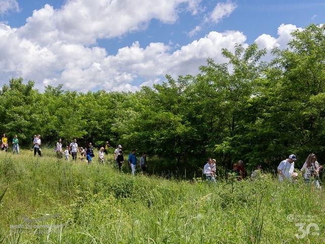 Mai mult de 40.000 de salcâmi plantaţi la Lipăneşti, ecosistem pentru ...