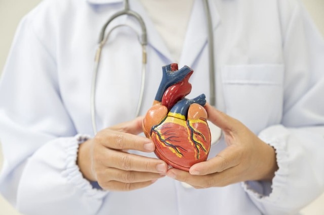 COMUNICAT DE PRESĂ: Insuficienţă cardiacă: Ce este, simptome, cauze ...